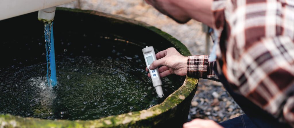 How to Adjust pH in Hydroponics